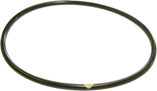 Amazon.com: Hayward CLX200K Pool Chlorinator Lid O-Ring for CL200/CL220 ...