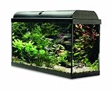 11 Aqua One Aquariums & Fish Tanks For Sale
