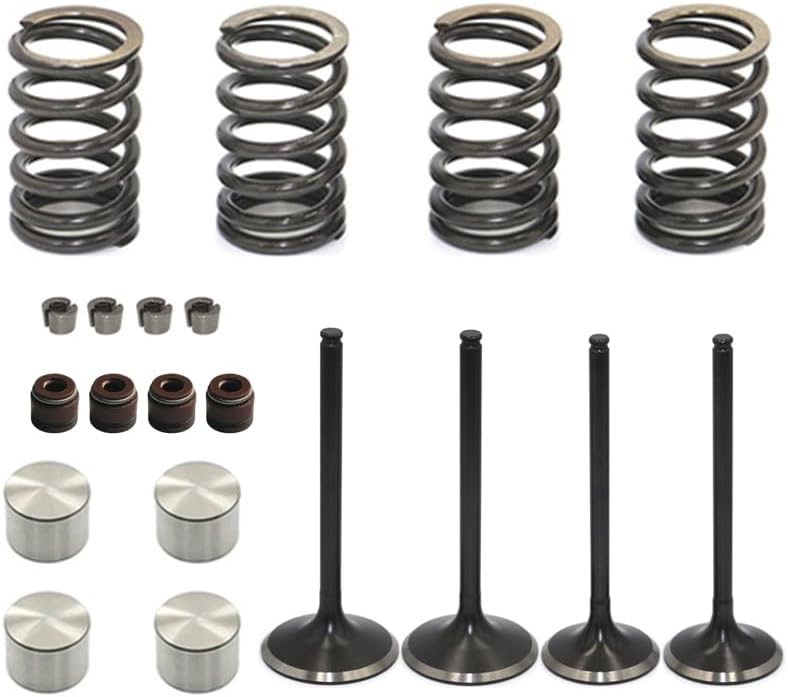 Amazon.com: HWKWAZ Engine Intake Exhaust Valves Lifters Buckets Seals ...