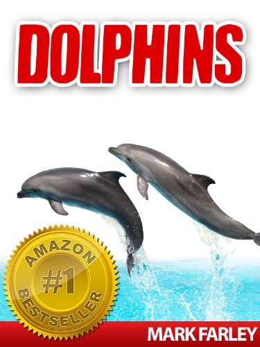 Dolphins – Facts About These Fascinating Marine Life Animals with ...