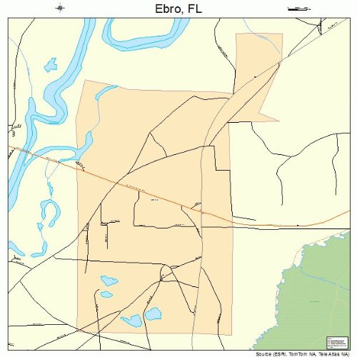 Amazon.com: Large Street & Road Map of Ebro, Florida FL - Printed ...