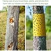 Amazon.com: Kittmip 4 Rolls 260ft Lantern Fly Tree Tape Outdoor ...
