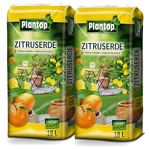 Die 16 besten Zitruspflanzenerden - Ratgeber für Handwerker