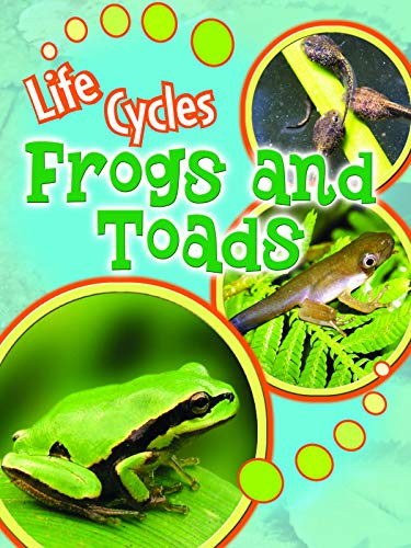 Life Cycle Of A Toad