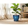 Amazon.com : EPFamily 10 Inch Ceramic Planter Pot Round Plant Pot for ...