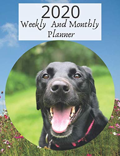 Amazon.com: 2020 Weekly And Monthly Planner: Dog-Themed Calendar ...
