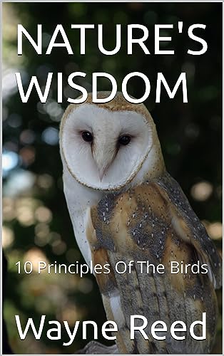 NATURE'S WISDOM : 10 Principles Of The Birds (NATURE'S WAY Book 2 ...