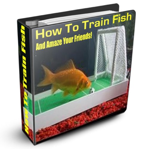 How To Train Fish - Kindle edition by Graceland, Zack. Crafts, Hobbies ...