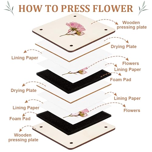 BENECREAT Flower Pressing Kit, 15x15cm Square Miniature Flower Press ...