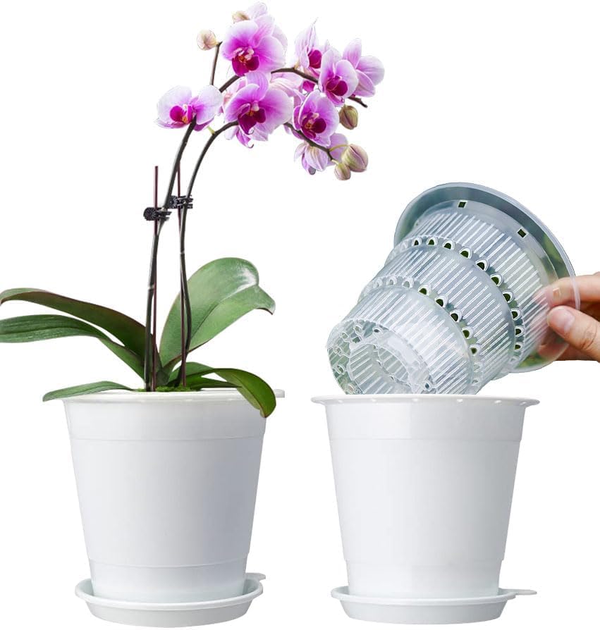 Amazon.com: Fayoula Glass Orchid Pot, 4 inch Clear Orchid Pot with ...