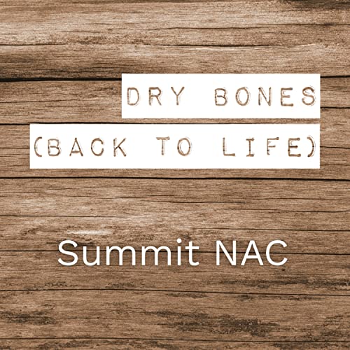 Amazon Music UnlimitedでSummit NACのDry Bones (Back To Life)を