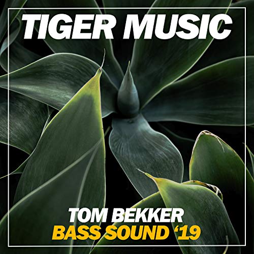 Bass Sound '19 by Tom Bekker on Amazon Music - Amazon.com