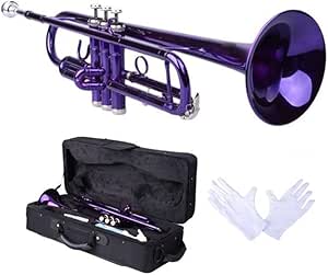 Amazon.com: Bb Standard Trumpet Set for Beginner, Trumpet Lyre, Brass ...