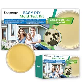 Mold Testing Kit with 12 Individual Tests - DIY Mold Test Kit for Home ...