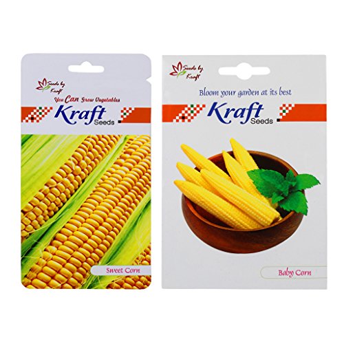 Best Baby Corn and Sweet Corn Seeds: 2 in 1 Seeds Packet