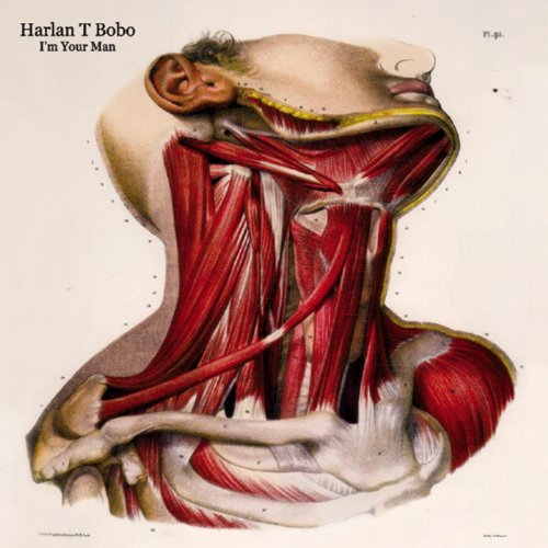 Amazon.com: I'm Your Man : Harlan T. Bobo: Digital Music