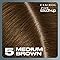 Clairol Root Touch-Up Permanent Hair Dye, 5 Medium Brown : Amazon.co.uk ...