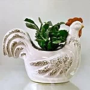 Amazon.com : New Country Rustic Rooster Hen RED White Chicken Planter ...