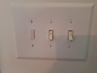 Legrand Pass & Seymour 80700W Blank Toggle Insert, White (1 Count ...