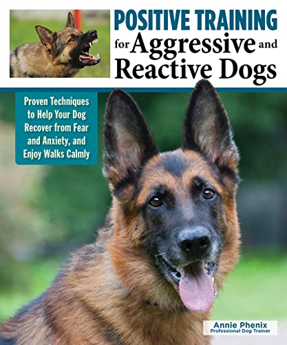 Can A Trainer Help Dogs With Anxiety