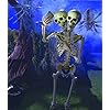 Amazon.com: Fun Express Two-Headed Life-Size Human Skeleton 5 Feet Tall ...