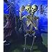 Amazon.com: Fun Express Two-Headed Life-Size Human Skeleton (5 feet ...