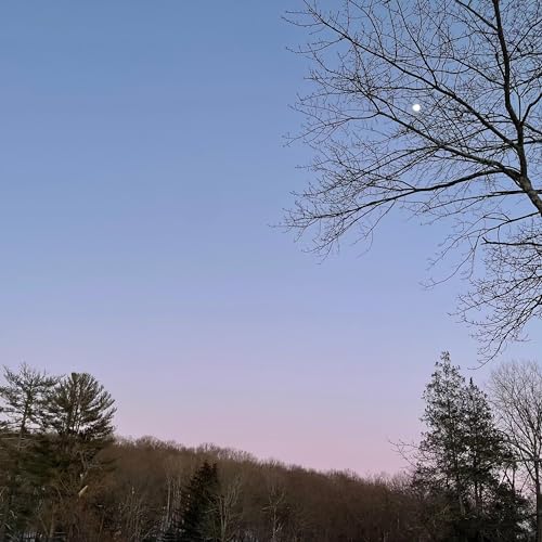 Écouter Midwinter Moon par Elk Beats sur Amazon Music Unlimited