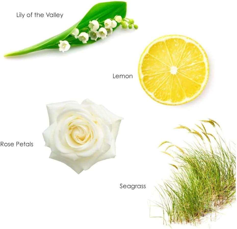 English Spa Hand Wash, by Gilchrist & Soames, 458ml – BigaMart