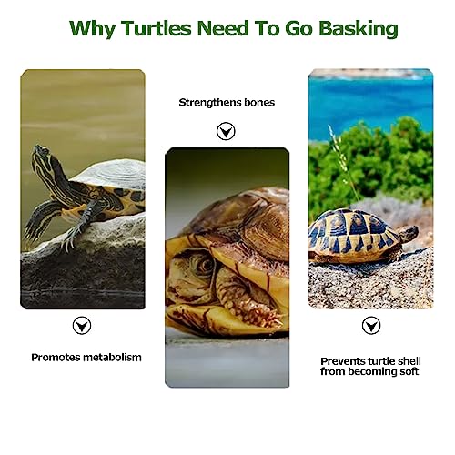 SOONHUA Tortoise Basking Platform Aquarium Fish Tank Ramp Ladder ...