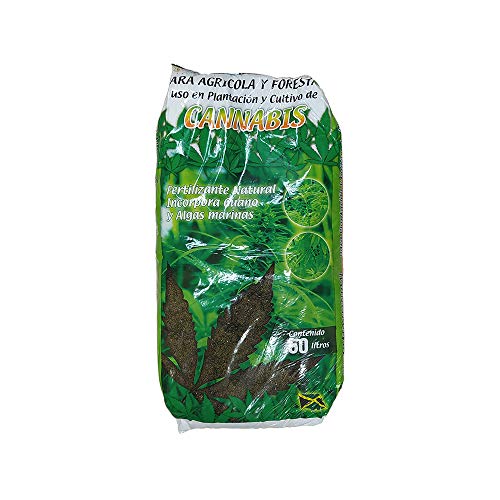 Turba negra: el sustrato ideal para tus plantas. - Mi Hogar