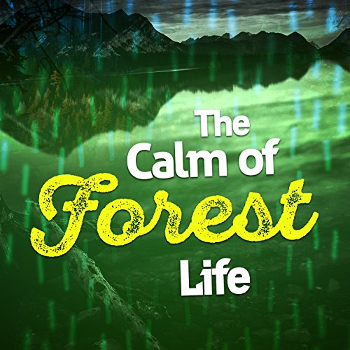 Amazon.co.jp: The Calm of Forest Life : Forest Soundscapes: Digital Music