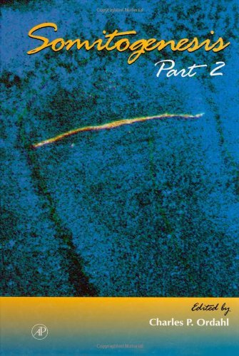 Somitogenesis, Part 2 (ISSN Book 48) 1, Ordahl, Charles P. - Amazon.com