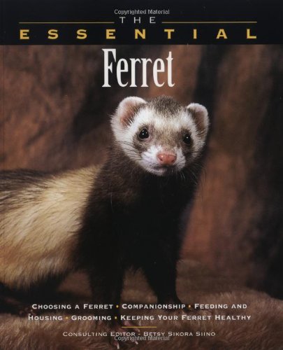Buy The Essential Ferret Book Online at Low Prices in India | The ...