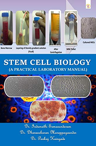 Stem Cell Biology: Amazon.co.uk: 9789389774351: Books
