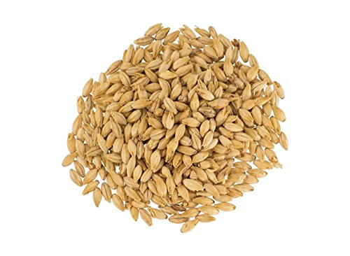 Malt - Dingemans Munich - 1 LB (Pack of 10) : Amazon.ca
