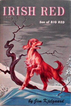 Irish Red: Kjelgaard, Jim, Kuhn, Bob: 9780823400607: Amazon.com: Books
