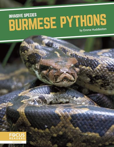 Combien de temps durent les pythons birmans ? Facteurs de longueur ...