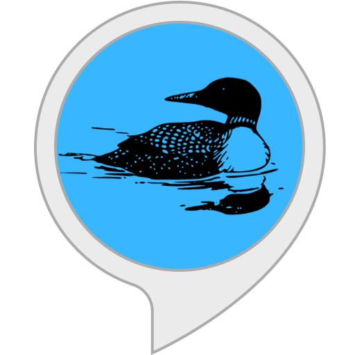 Amazon.in: Sleep Noise Loon : Alexa Skills