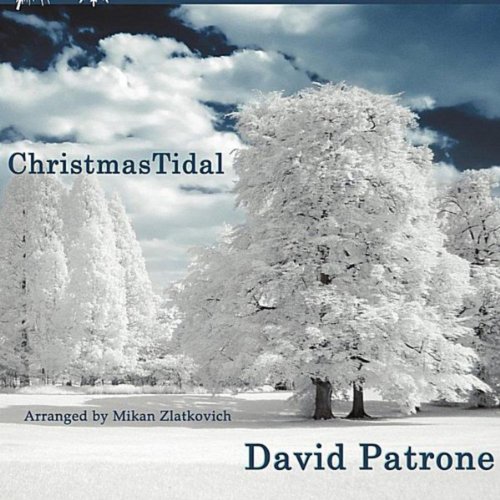 Play Christmastidal by David Patrone on Amazon Music
