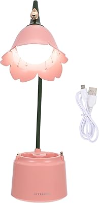 Amazon.com: AXX Cute Desk Lamp, Pink Desk Light for Kids, Women, Teen ...