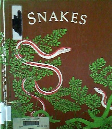 Snakes (EMC science readers): Shea, George: 9780884367765: Amazon.com ...