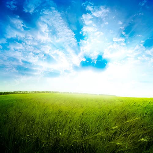 Play Jared Cochran by Alfie Burke on Amazon Music Unlimited