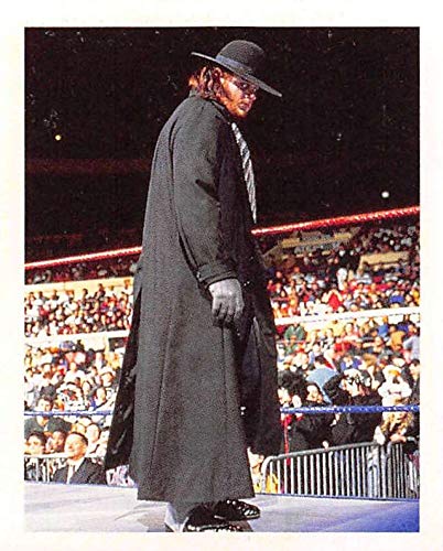 Undertaker 1992