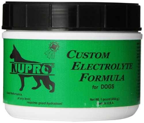 10 Best Electrolytes For Dogs