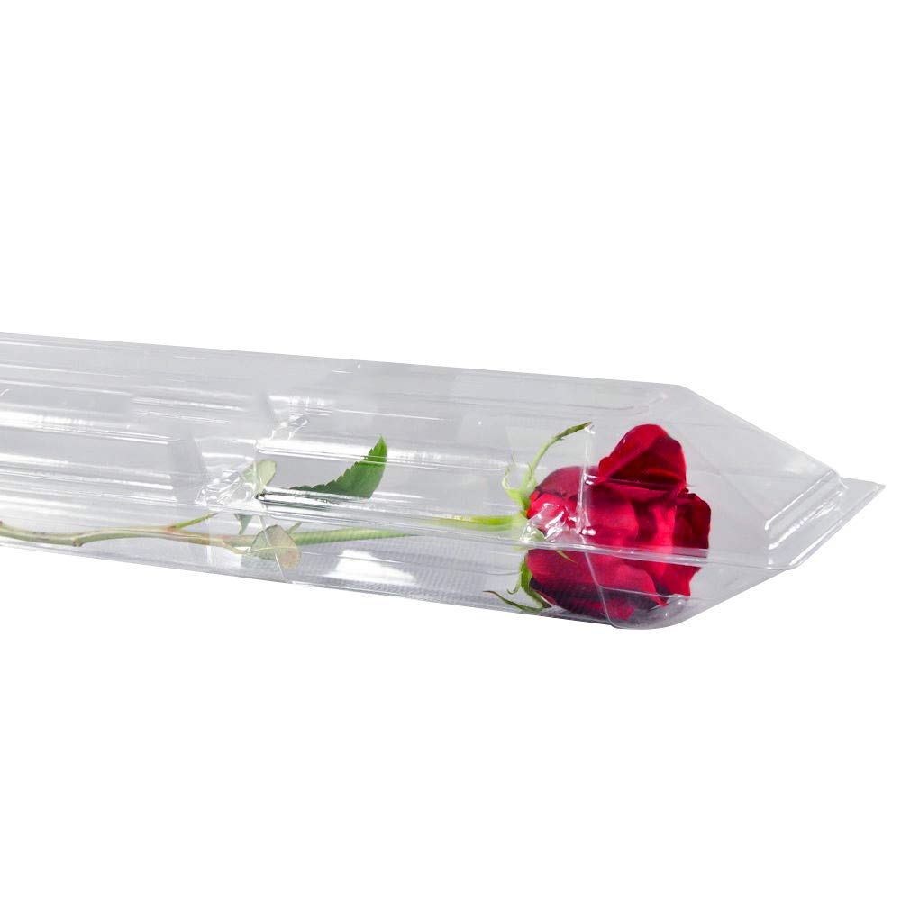Curtis Wagner Plastics CW-226 Clear Large Single Rose Flower Boxes ...