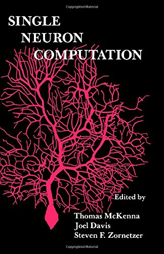 Single Neuron Computation (Neural Networks: Foundations to Applications ...