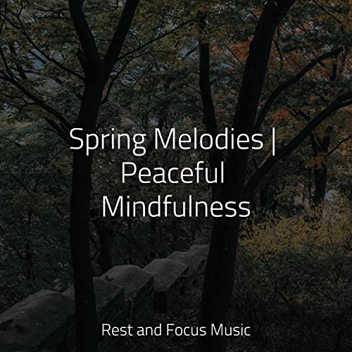 Play Spring Melodies | Peaceful Mindfulness by Ambient Music Therapy ...
