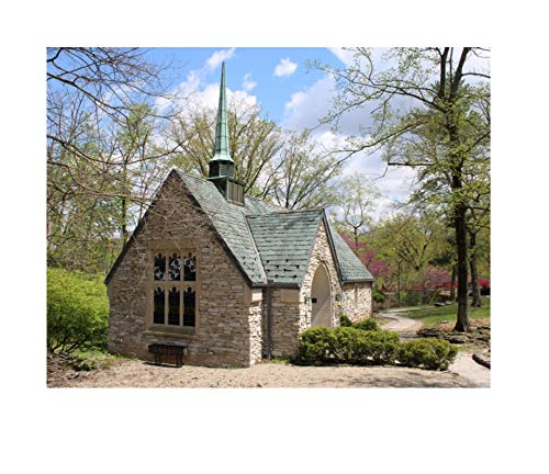 Don't Tread on Us: Prince Jason Clark: 9781714752584: Amazon.com: Books