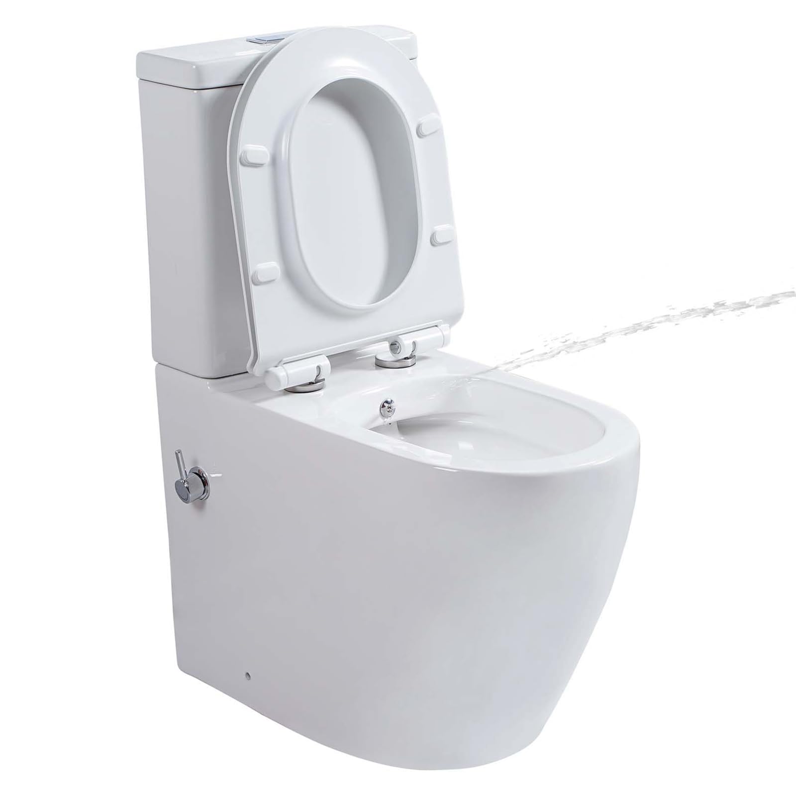 Rimless Close Coupled Toilet with Bidet, Integrated Combined Bidet ...