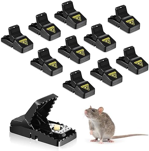JurciCat Trampa Ratones trampas Ratones Juego de 10 Reutilizables ...